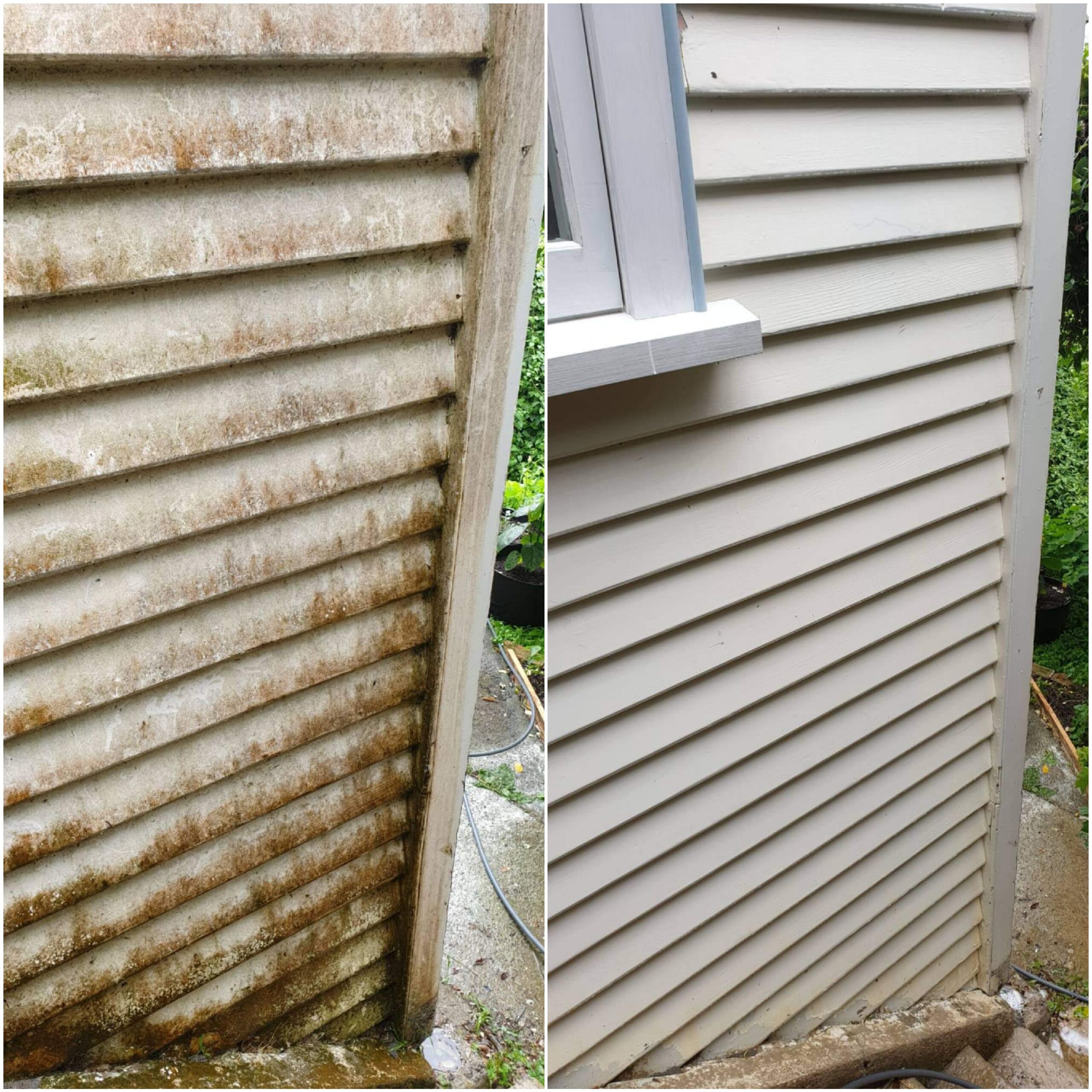 House Washing Wellington | Remove mould & mildew | Dentice Property ...